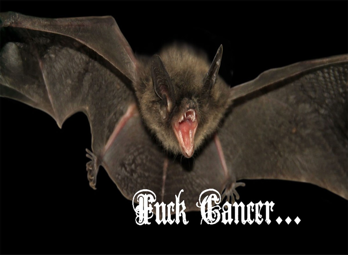 Another Life, Another Cancer – The Gothstomate